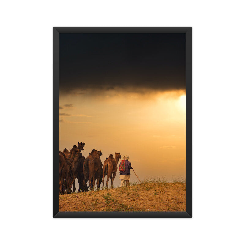 Buy Camel and Man Poster Online – printlagoon